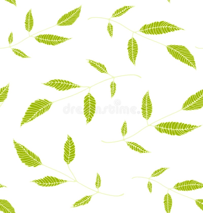 Floral Seamless Pattern Background Green on White Stock Vector ...