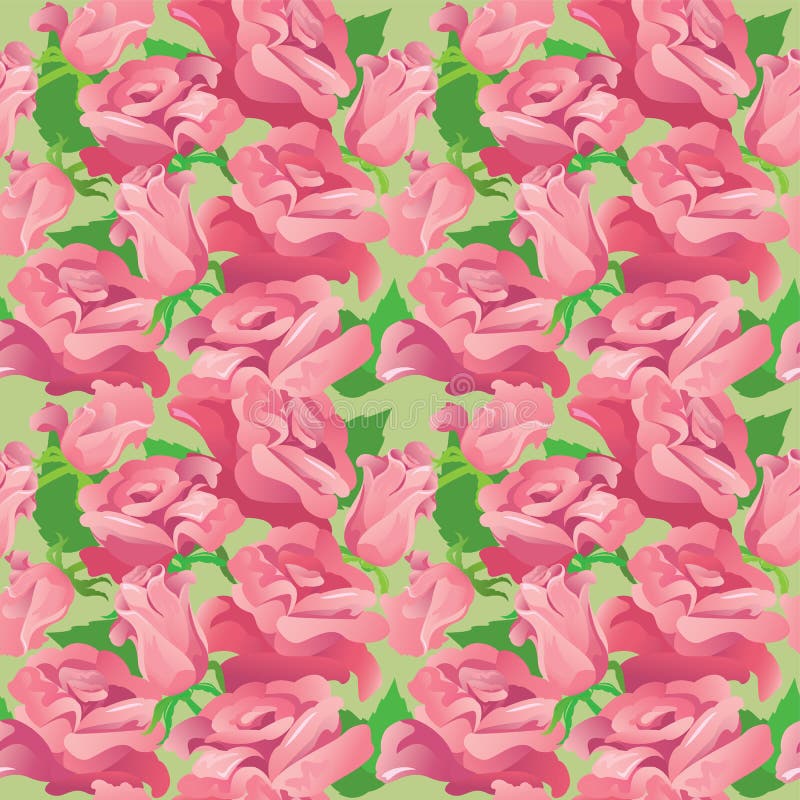 Floral Seamless Pattern with Blooming Pink Roses. Stock Vector ...