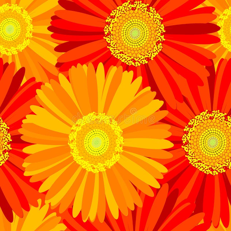 Floral Seamless Pattern with Daisies Flowers Stock Illustration ...