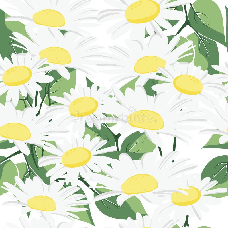 Floral Seamless Pattern. Daisy and Leaves Stock Vector - Illustration ...