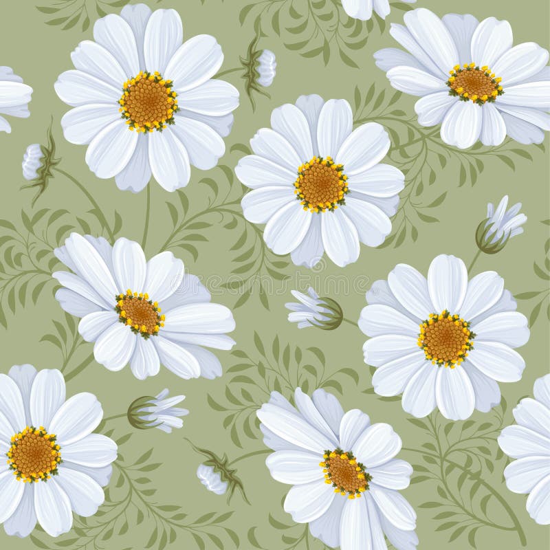 Floral Seamless Pattern - Daisy Stock Vector - Illustration of daisy ...
