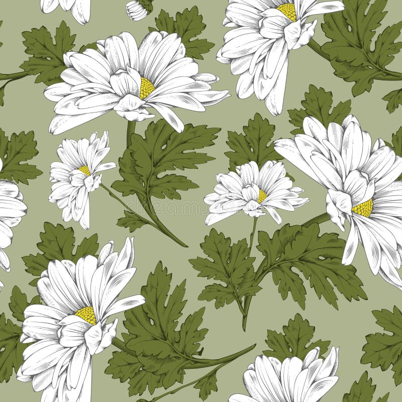 Floral Seamless Pattern - Daisy Stock Vector - Illustration of floral ...