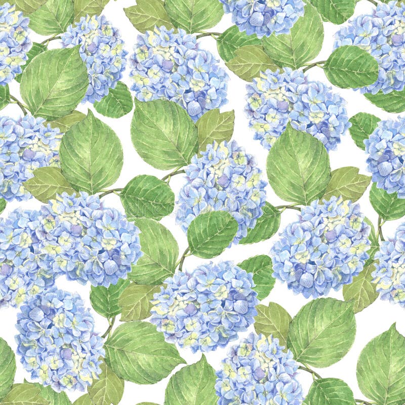 Floral Seamless Pattern with Flowers Hydrangea. Stock Image - Image of ...