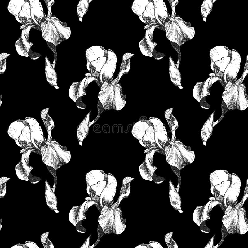 Floral Seamless Pattern with Hand Drawn Ink Iris Flowers on Black ...