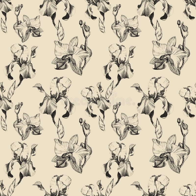 Floral Seamless Pattern with Hand Drawn Ink Iris and Orchid Flowers on ...