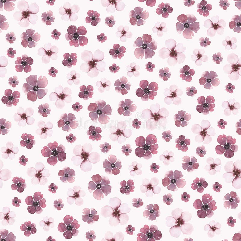 Floral Seamless Pattern. Watercolor Botanical Illustration of a ...