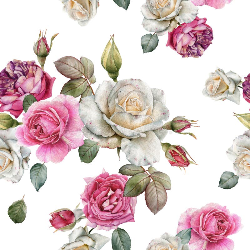 Floral Seamless Pattern with Watercolor White and Pink Roses Stock ...