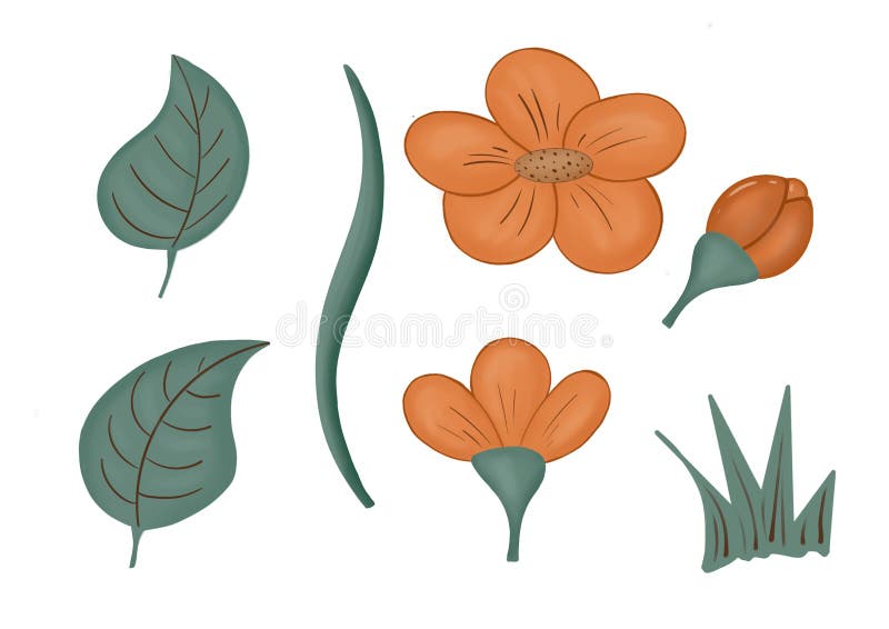 Floral Set of Seven Elements for Creativity. Orange Flowers and Green ...
