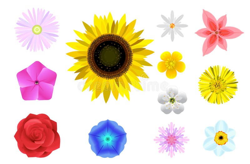 Floral shapes set stock vector. Illustration of colored - 66996548