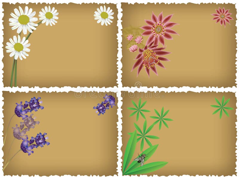 Floral sheets stock illustration. Illustration of vegetation - 29401513