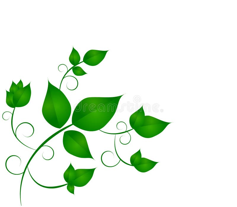 Floral spring illustrated stock illustration. Illustration of white ...