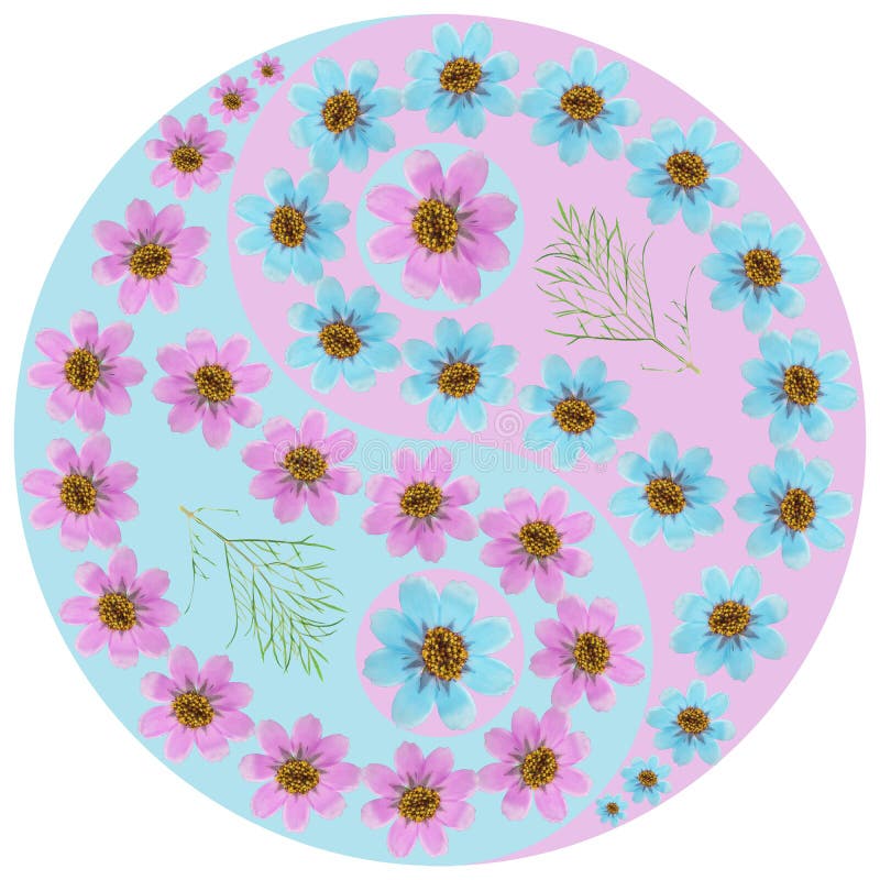 Floral Symbol Yin-Yang. Cosmos. Geometric Pattern of Yin-Yang Symbol ... Floral Symbol Yin-Yang. Cosmos. Geometric Pattern of Yin-Yang Symbol ...