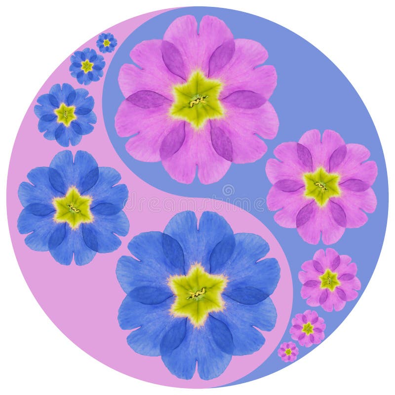 Floral Symbol Yin-Yang. Primula. Geometric Pattern of Yin-Yang Symbol ... Floral Symbol Yin-Yang. Primula. Geometric Pattern of Yin-Yang Symbol ...