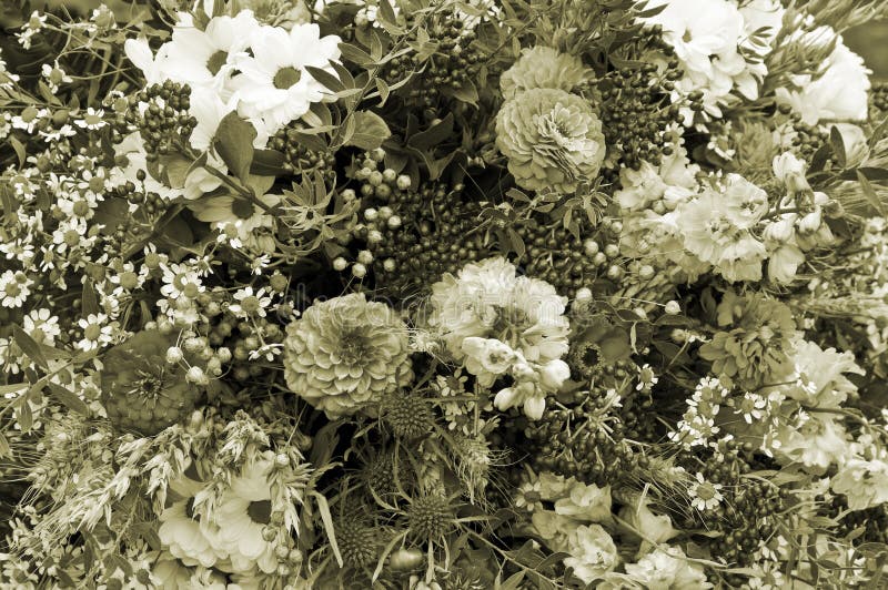 Floral texture stock image. Image of flora, monochromatic - 78786985