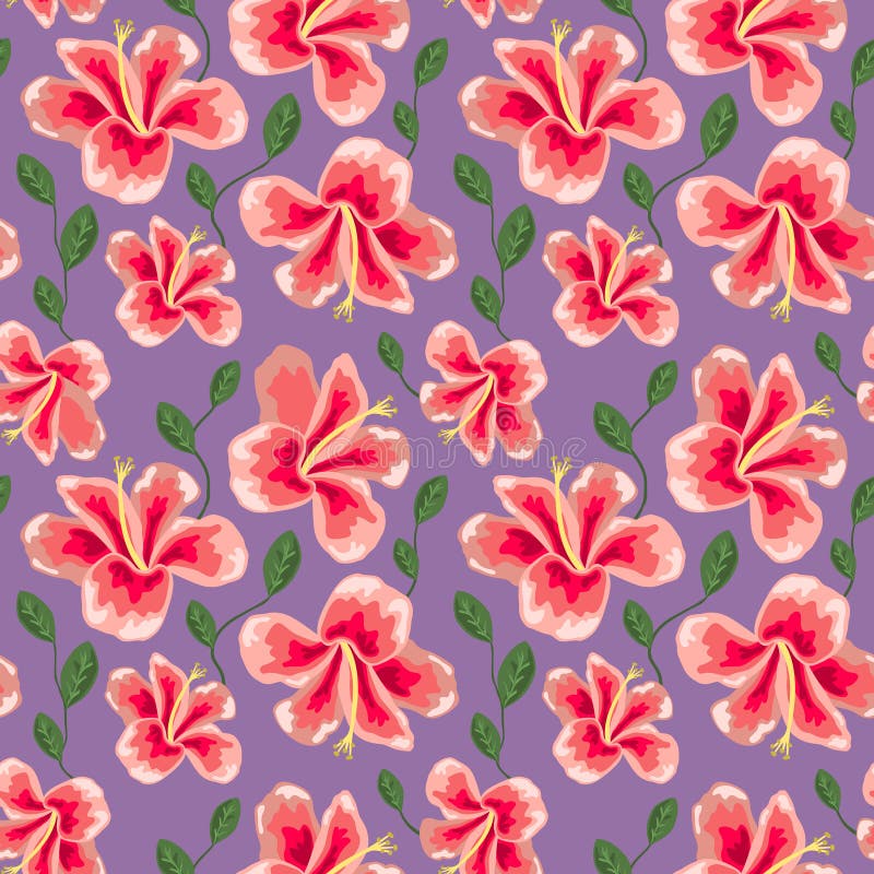 Hibiscus pattern stock vector. Illustration of hibiscus - 5965732