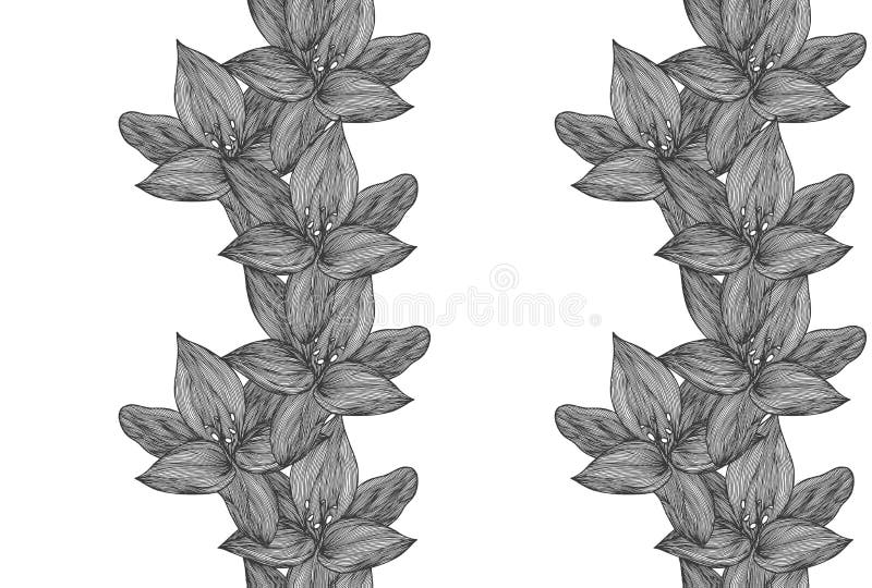 Floral Vector Background Black and White. Linear Lily Flower Line ...