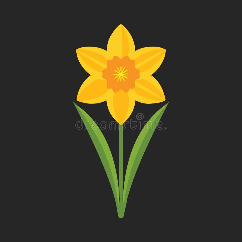 Floral Vector Icon, Daffodil Flower Beautiful Illustration , Cute and ...