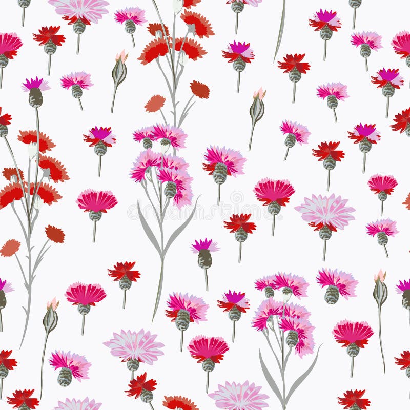 Floral Vector Rustic Pattern with Pink Flowers for Design Stock ...