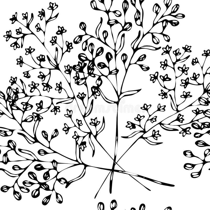 Floral Vector Seamless Pattern with Black Line Flower Stock Vector ...