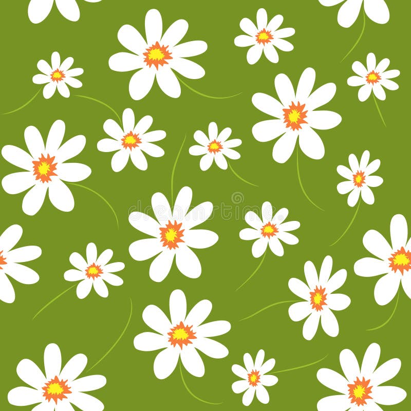 Daisy Field Hand Drawing Engraving Illustration Isolated on Whit Stock ...
