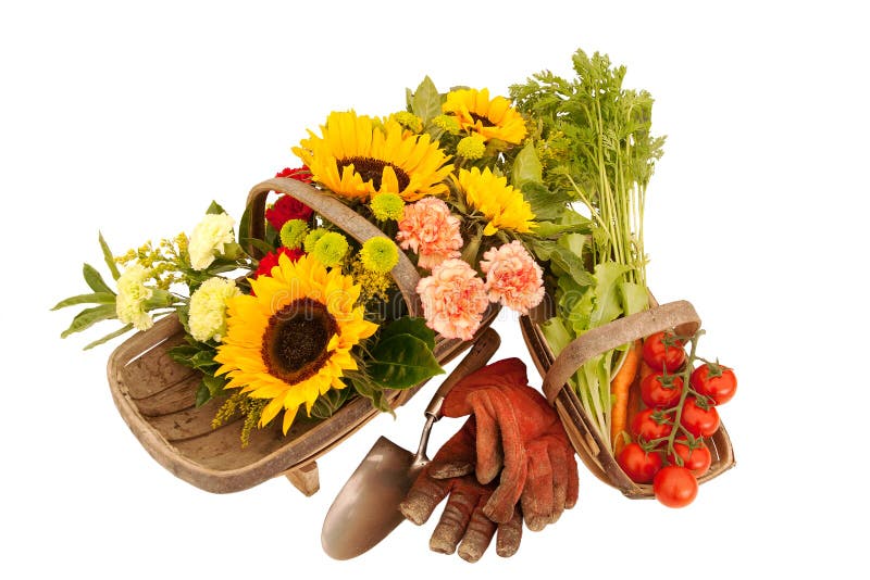 Floral & Vegetable Collection Stock Photo - Image of fresh, lettuce ...