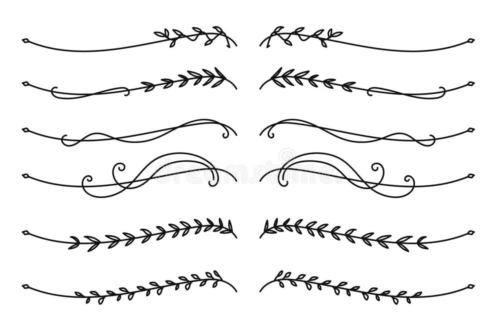 Floral Vine Line Divider for Text Layout Separator Decoration Stock ...