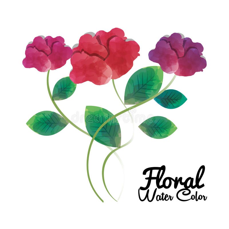 Floral Water Color Decoration Stock Illustration - Illustration of ...