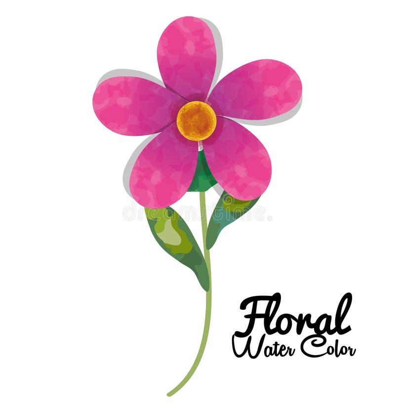 Floral Water Color Decoration Stock Illustration - Illustration of ...