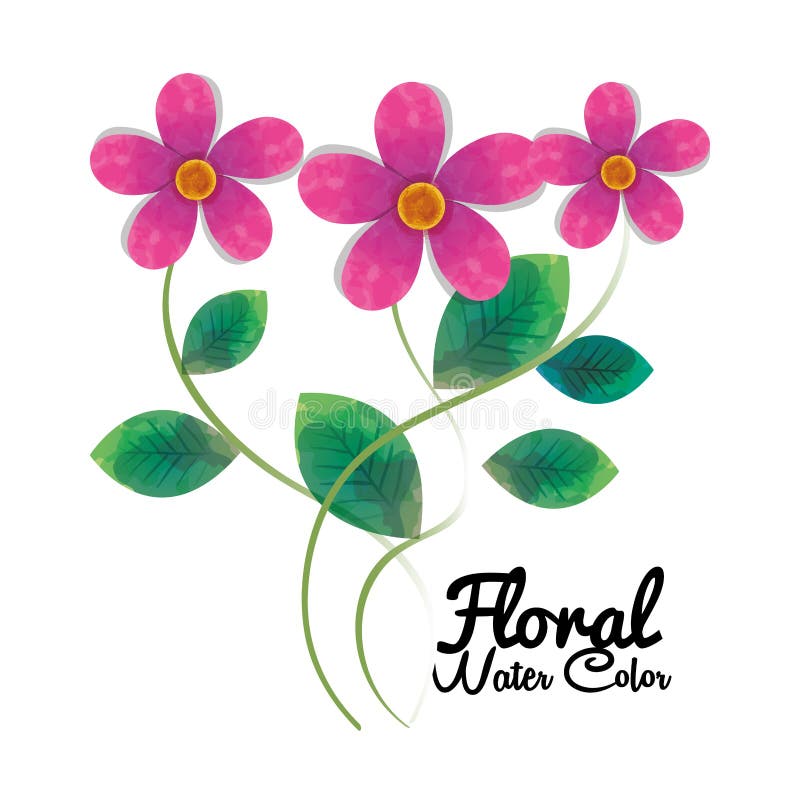 Floral Water Color Decoration Stock Illustration - Illustration of ...