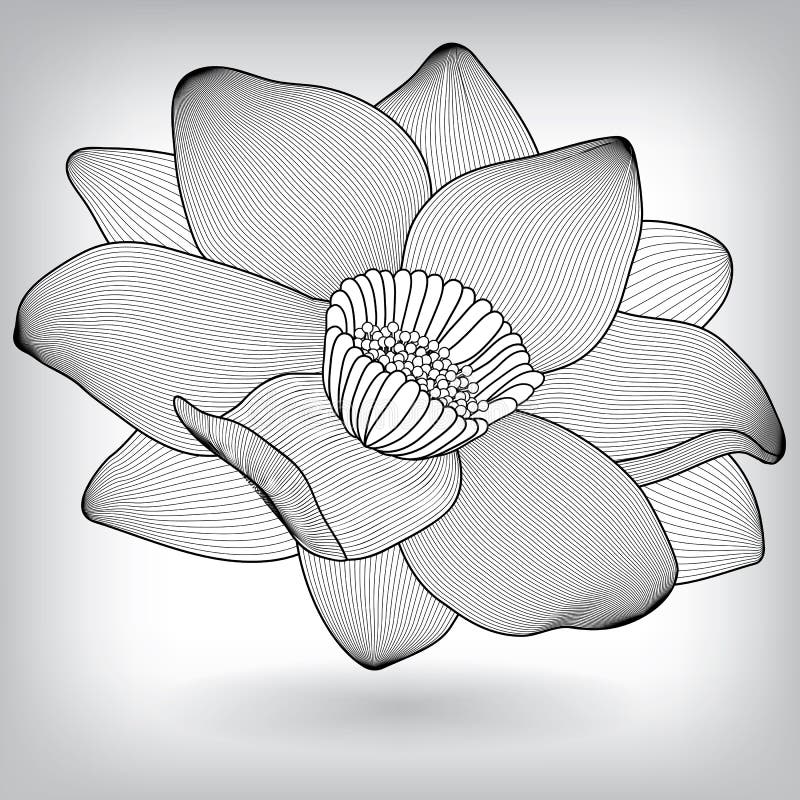 Lotus Design Elements Stock Illustrations – 8,709 Lotus Design Elements ...