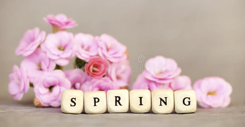 Floral Web Banner, Pink Flowers, Spring Forward, Springtime, Nature ...