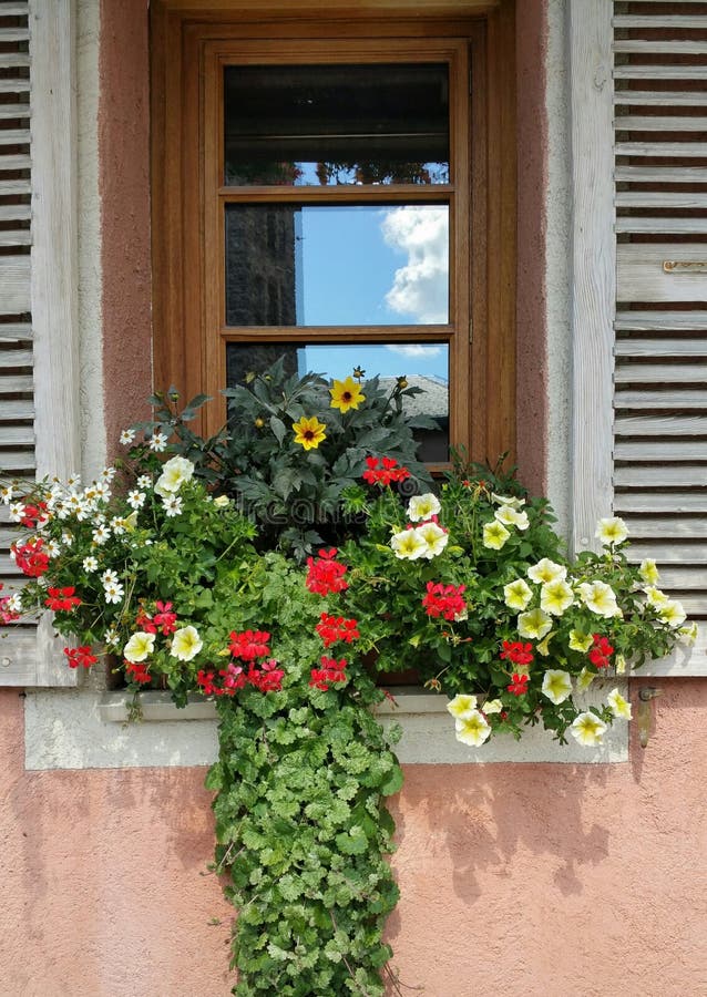 Floral Window Scene with Wooden Shutters and Reflections Stock Photo ...