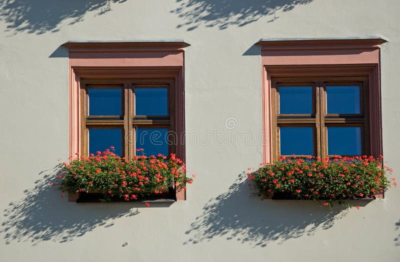 Floral Windows stock photo. Image of view, architecture - 6853368