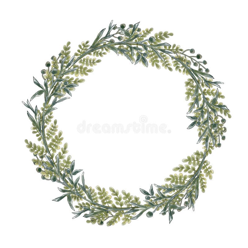 Floral Wreath. Greenery Branches, Isolated on White Background Stock ...