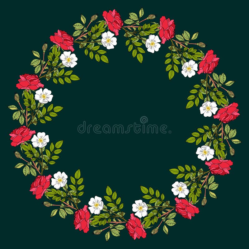 Cherokee Rose Stock Illustrations – 199 Cherokee Rose Stock ...