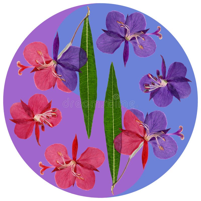 Floral Yin Yang symbol stock illustration. Illustration of floral ... Floral Yin Yang symbol stock illustration. Illustration of floral ...