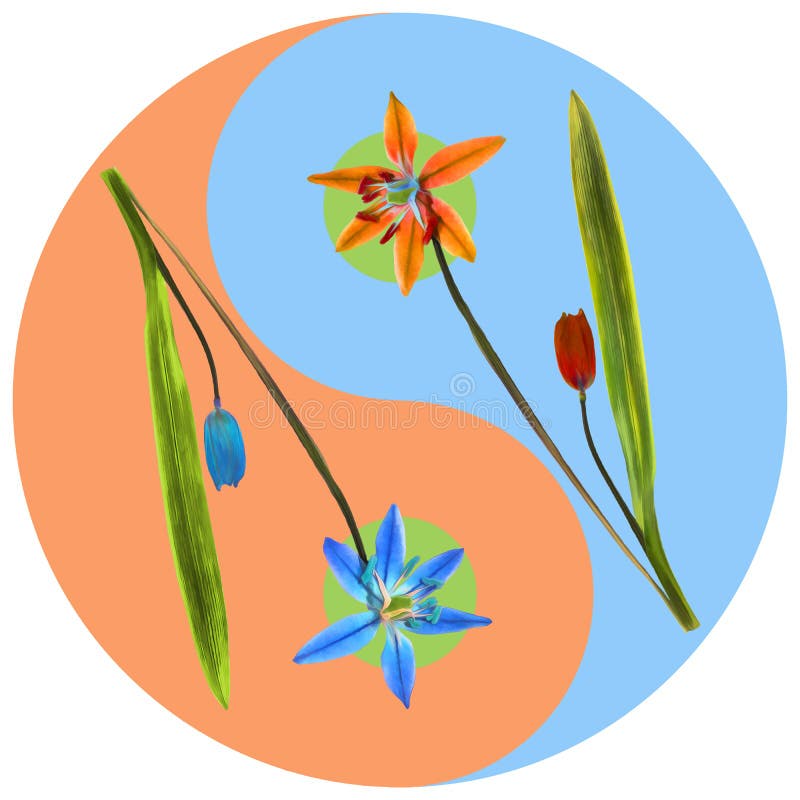Floral Yin Yang symbol. stock illustration. Illustration of meditation ... Floral Yin Yang symbol. stock illustration. Illustration of meditation ...