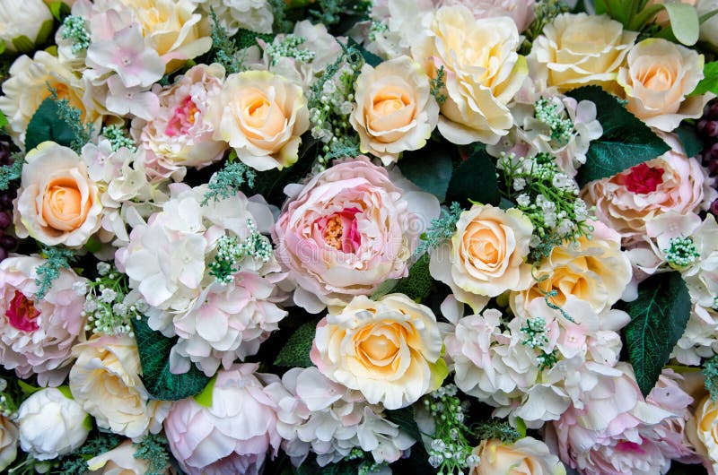 Floreal decoration stock image. Image of peace, flower - 76742205