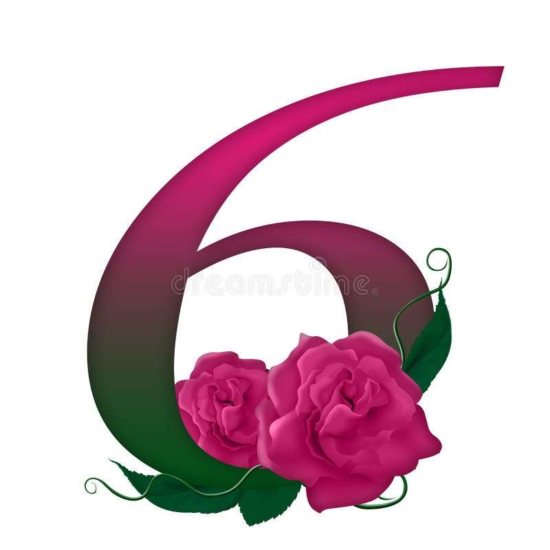 Floreale rosa di numero 6 immagine stock. Illustrazione di celebrazione ...