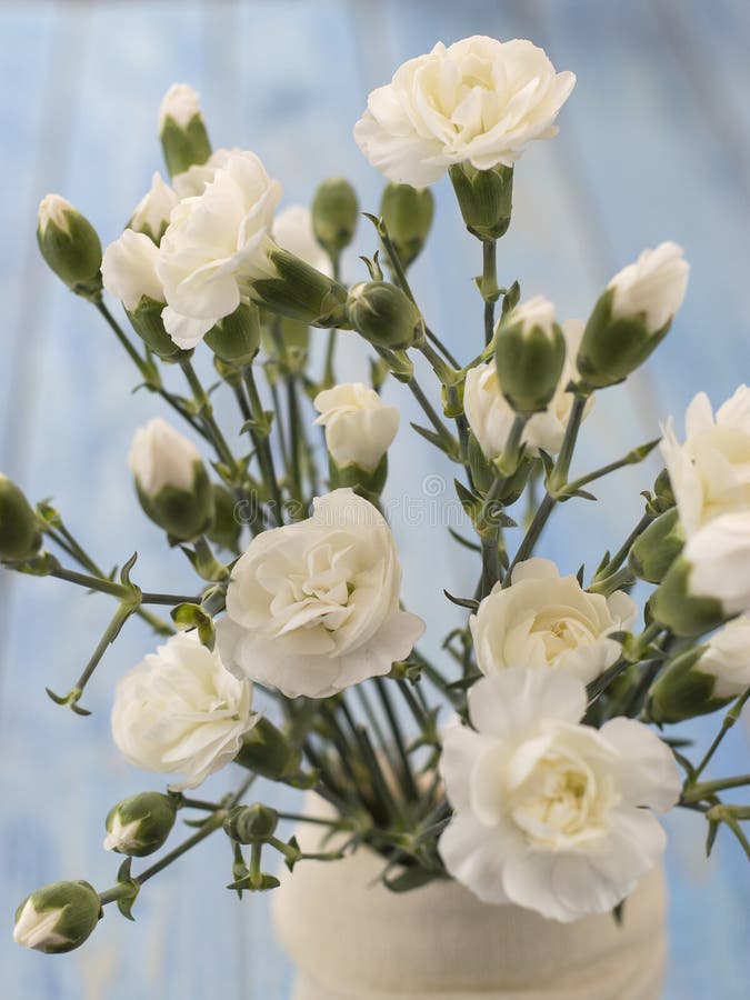 Florece Los Claveles Blancos En Una Tabla De Madera Imagen de archivo ...