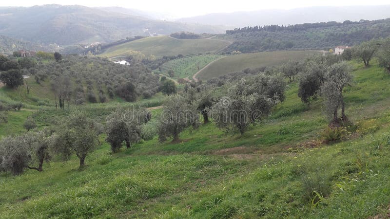 Florence city stock photo. Image of florence, beautiful - 129480230