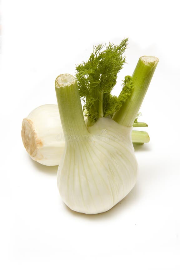 Florence Fennel bulbs stock photo. Image of vulgare, bulbs - 7125314