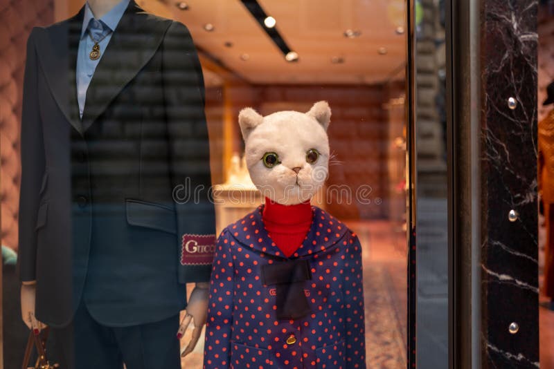 164 Cat Florence Stock Photos - Free & Royalty-Free Stock Photos from ...