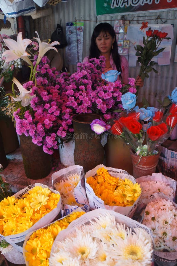 Flores imagen editorial. Imagen de java, planta, indonesia - 50019165