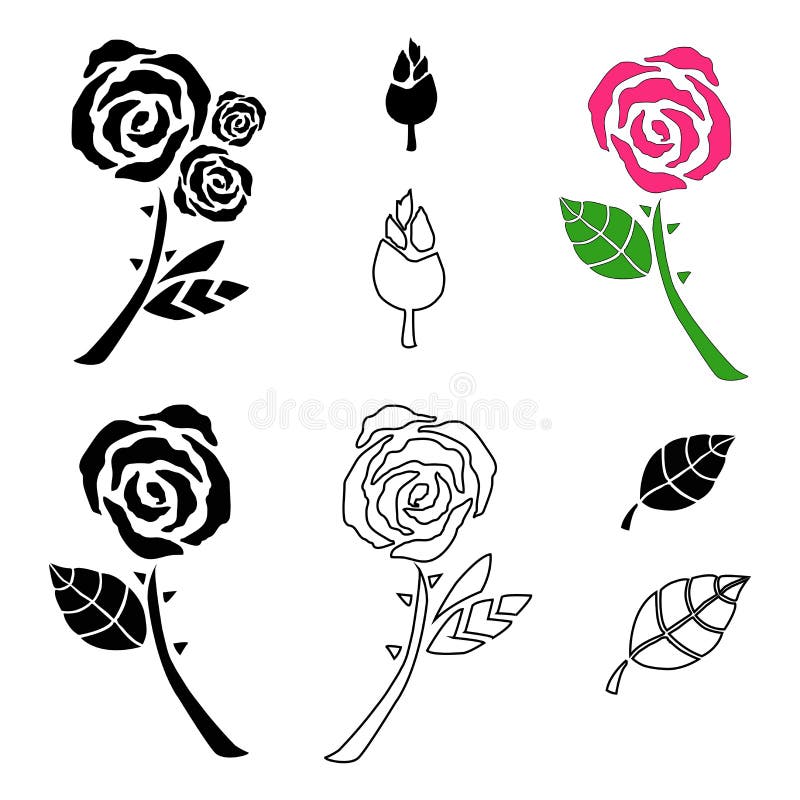 Flores Color De Rosa Hermosas Del Vector Ilustración del Vector ...