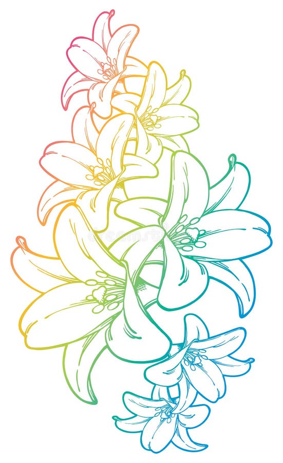 Flores coloridas ilustración del vector. Ilustración de colorido - 28041567