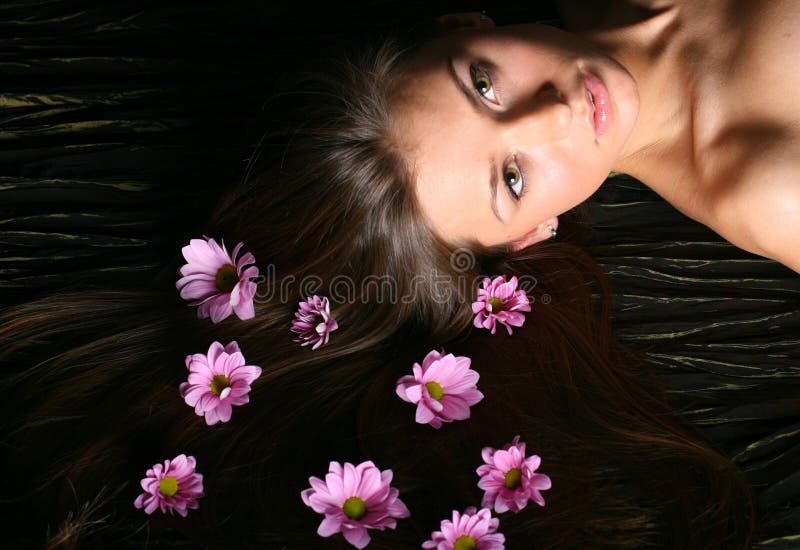 Flores Cor-de-rosa Do Cabelo Foto de Stock - Imagem de fêmea, colorido ...