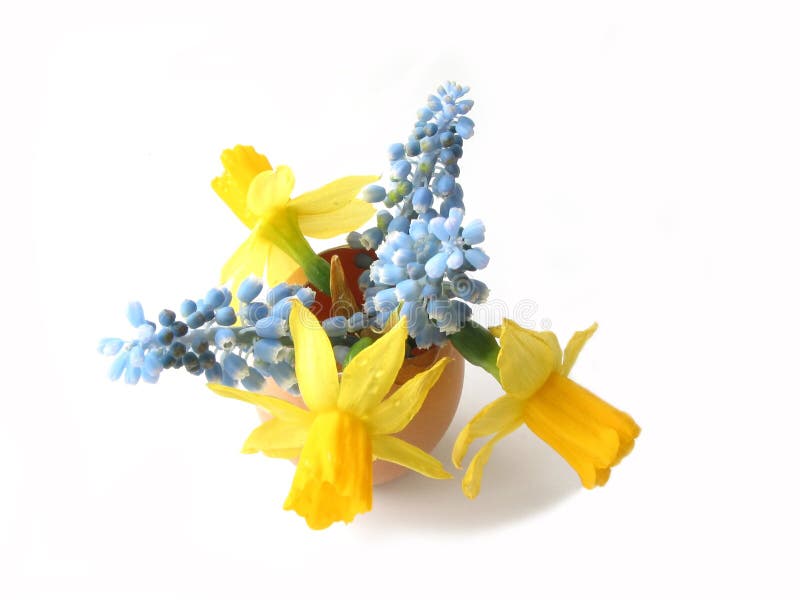 Flores De Easter No Escudo De Ovo Foto de Stock - Imagem de branco ...