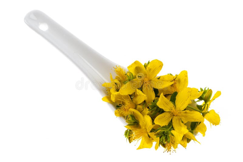 Flores De La Hierba De San Juan Foto de archivo - Imagen de wildflower ...