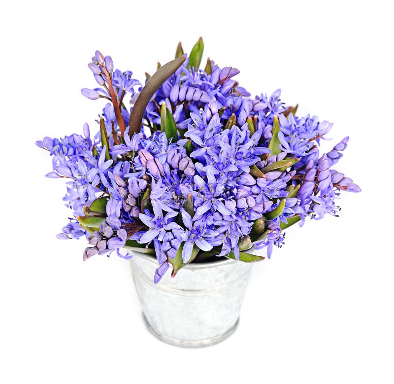 Ramo De Flores De Las Violetas Imagen de archivo - Imagen de aroma ...